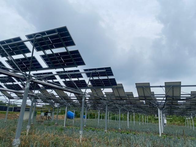 Agricultural Solar Power Generation Demonstration Complex at Yeungnam ...